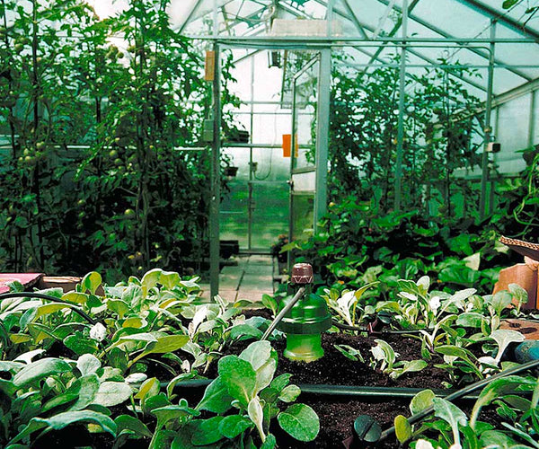 12 Ways to Reduce Grow Costs – Sustainable Village