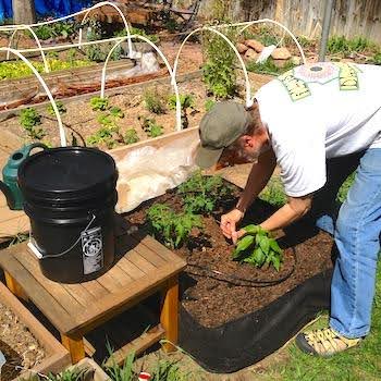 Home Garden Input Options – Sustainable Village