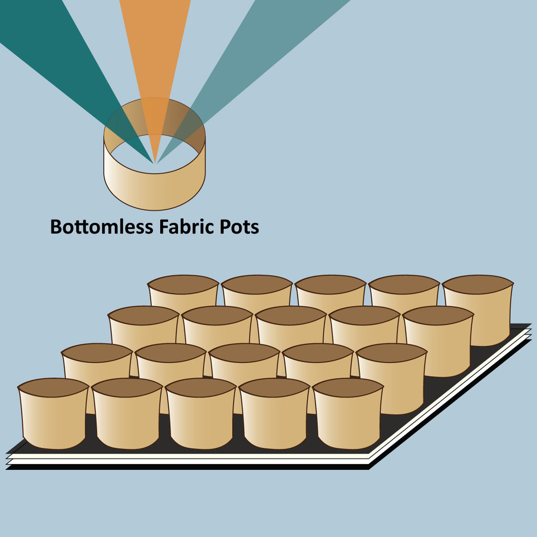 Capillary Pot Systems – Sustainable Village